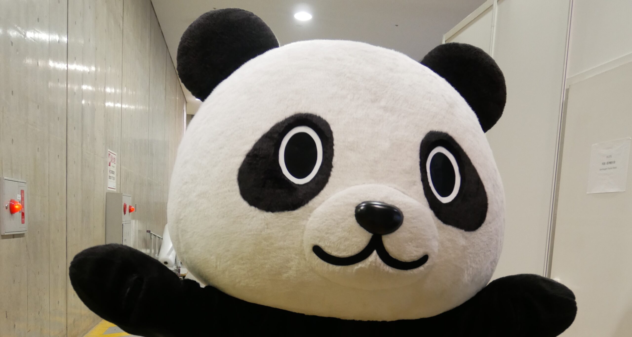 「わかぱん」等の和歌山県ゆるキャラ写真集 その2｜ゆるキャラ