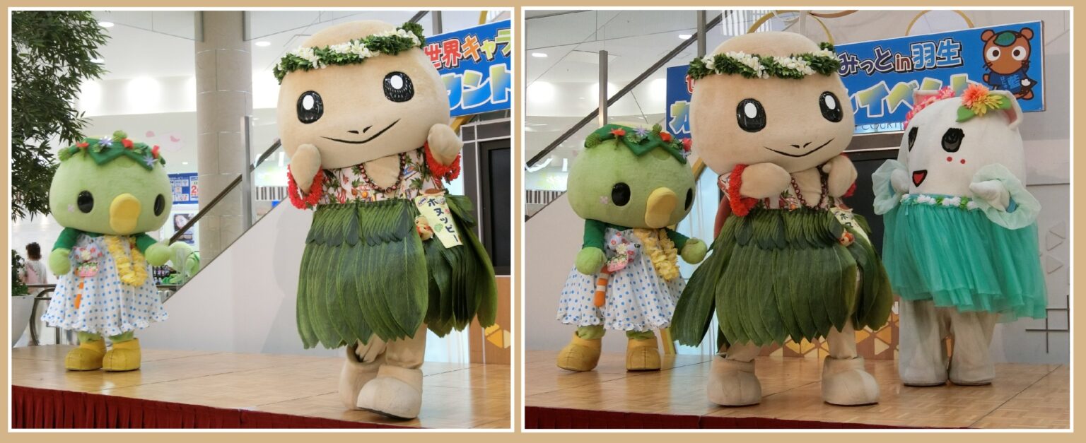 HONUPPI(ホヌッピー)等のハワイゆるキャラ写真集 その1｜ゆるキャラ