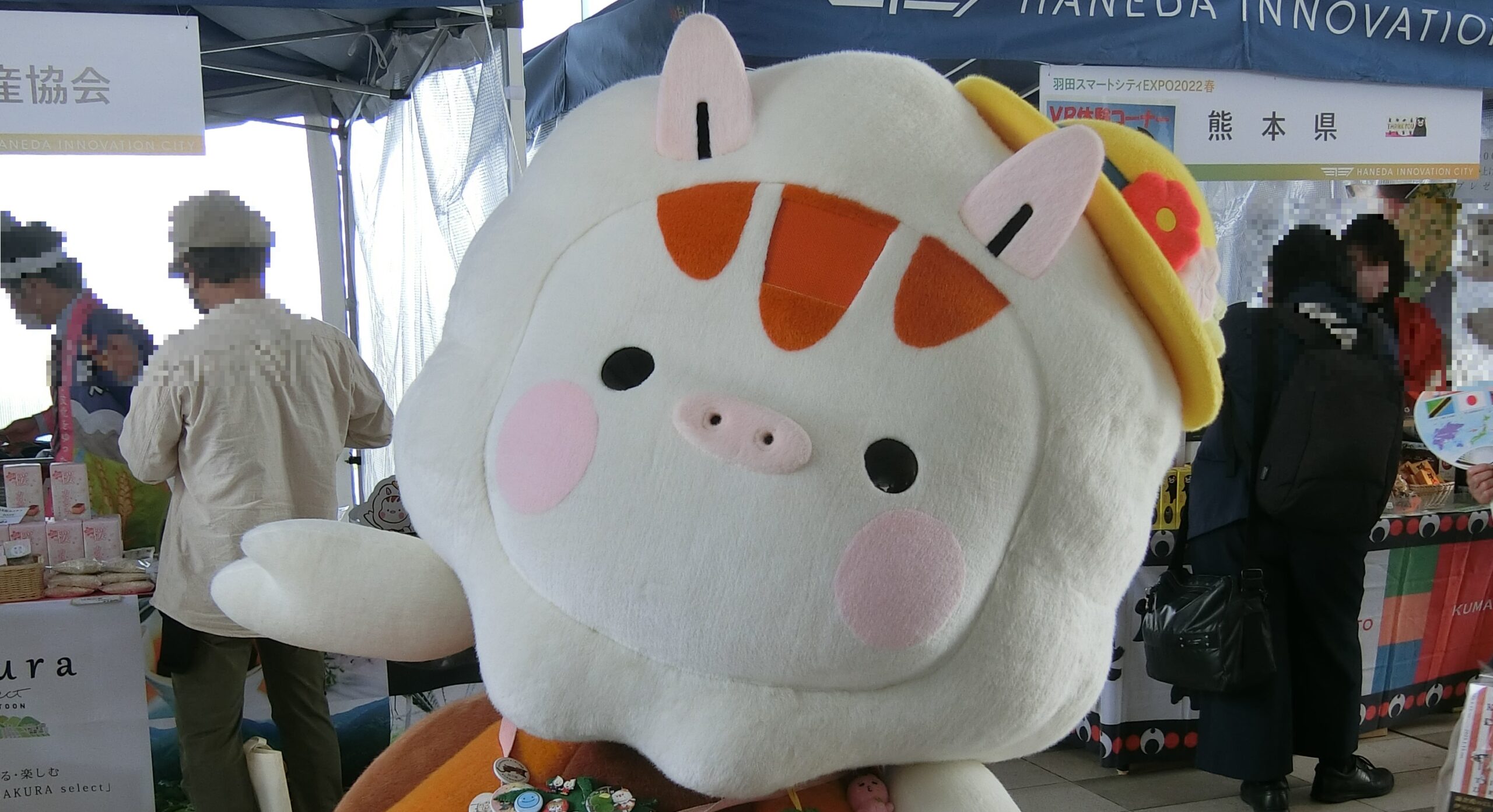 「いのとん」等の愛媛県ゆるキャラ写真集 その1｜ゆるキャラ