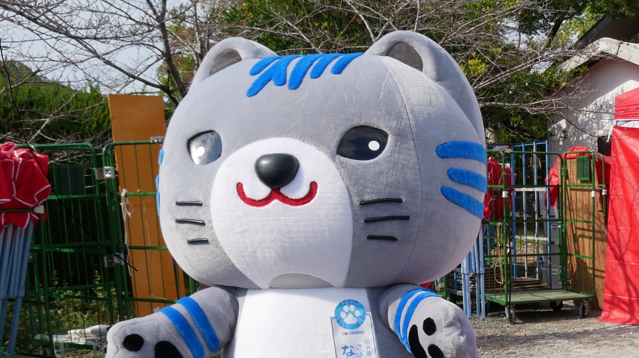 「さばトラななちゃん」等の福井県ゆるキャラ写真集 その2｜ゆるキャラ