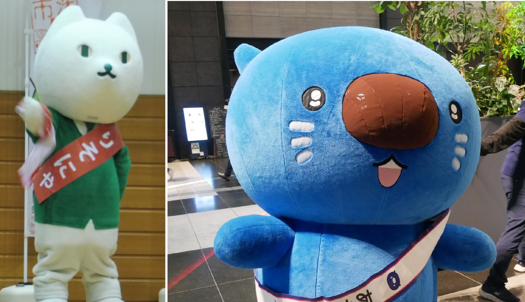 銀行等の金融機関のマスコットキャラクターのまとめ｜ゆるキャラ