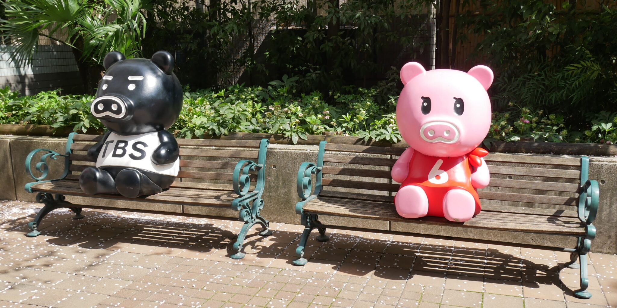 TBSのBooBo、Boona、ワクティ写真集｜ゆるキャラ