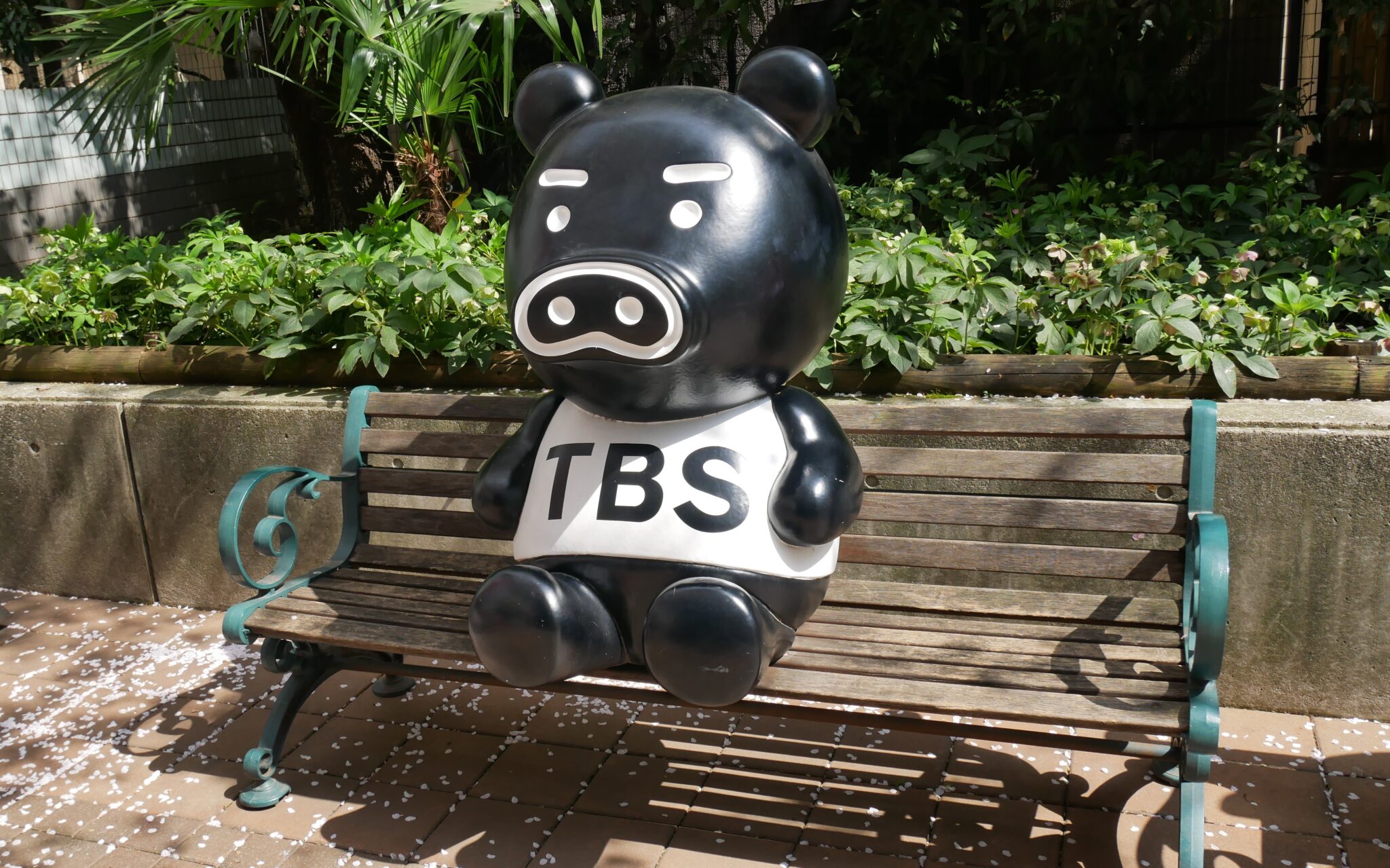 BooBo、Boona等TBSキャラクター写真集｜ゆるキャラ